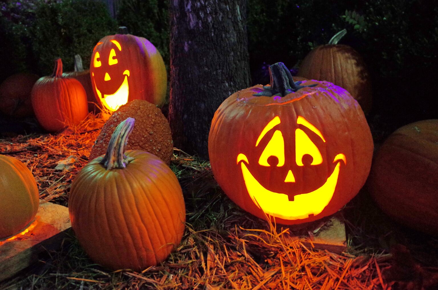 Over 1,000 Free Halloween Pumpkin Carving Patterns, Templates, and Stencils