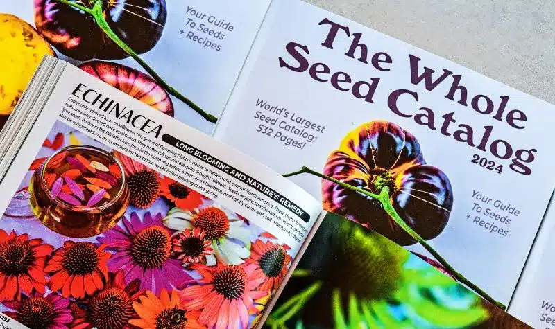 Free Seed Catalog • Hey, It’s Free!