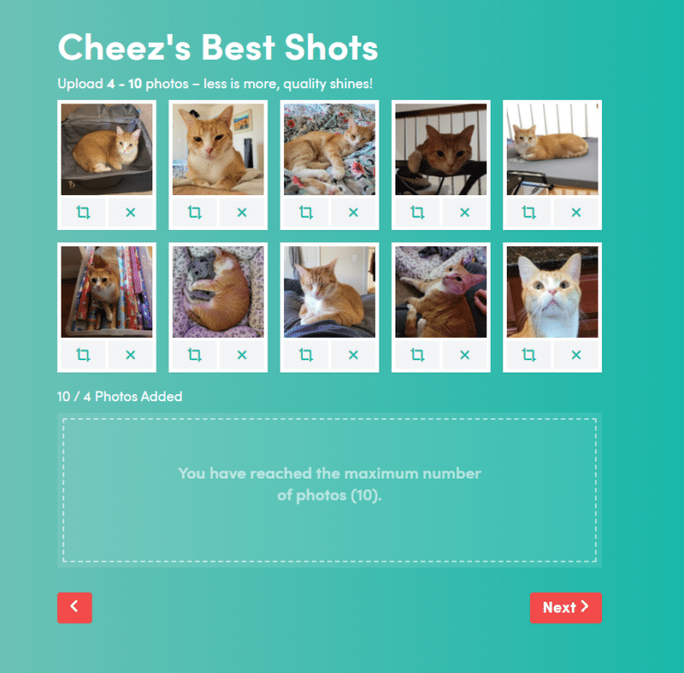 Free Pet Samples, Freebies, Food, & Toys! • Hey, It's Free!